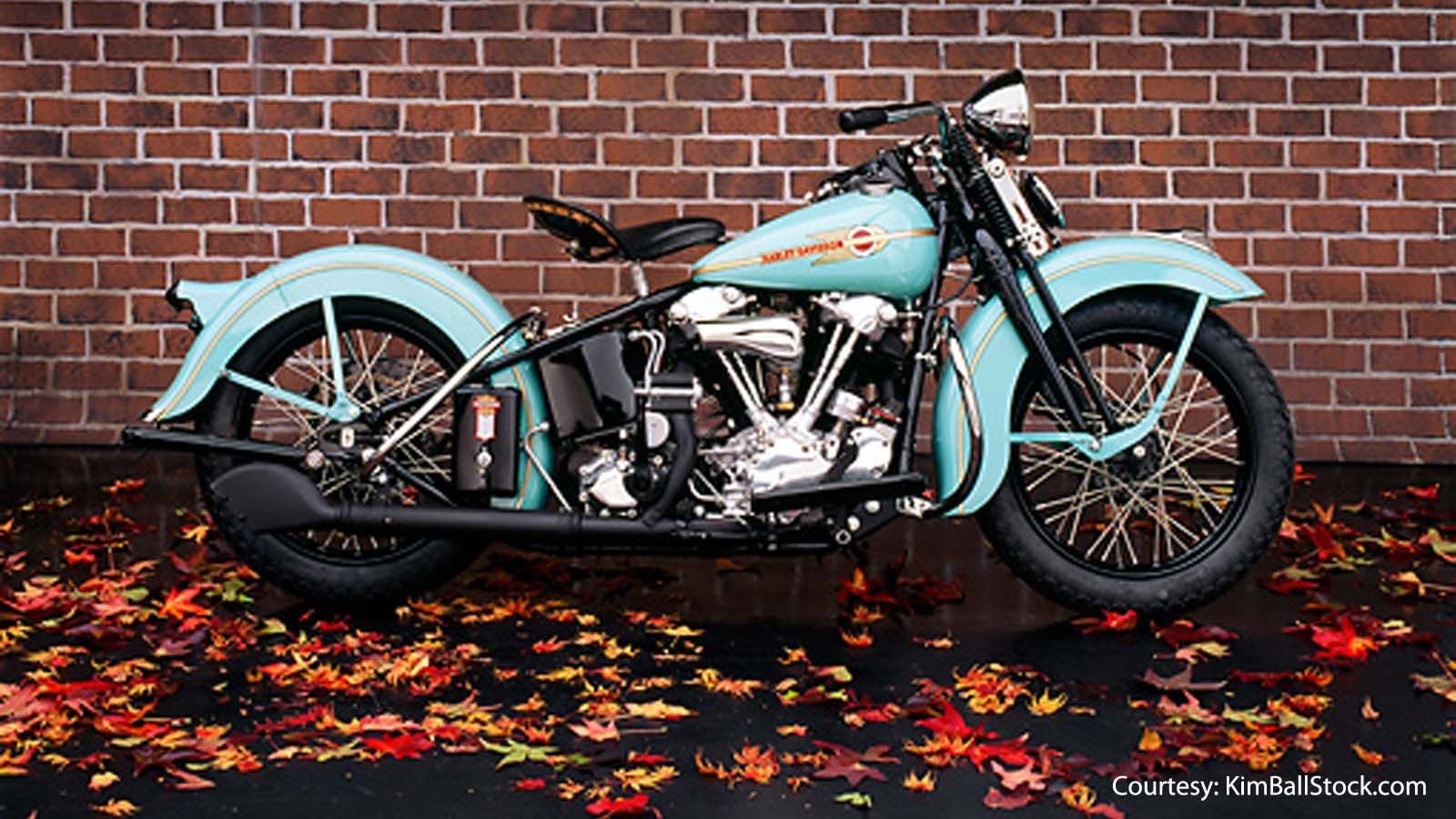 9 Harley-Davidsons Under Autumn Leaves | Hdforums