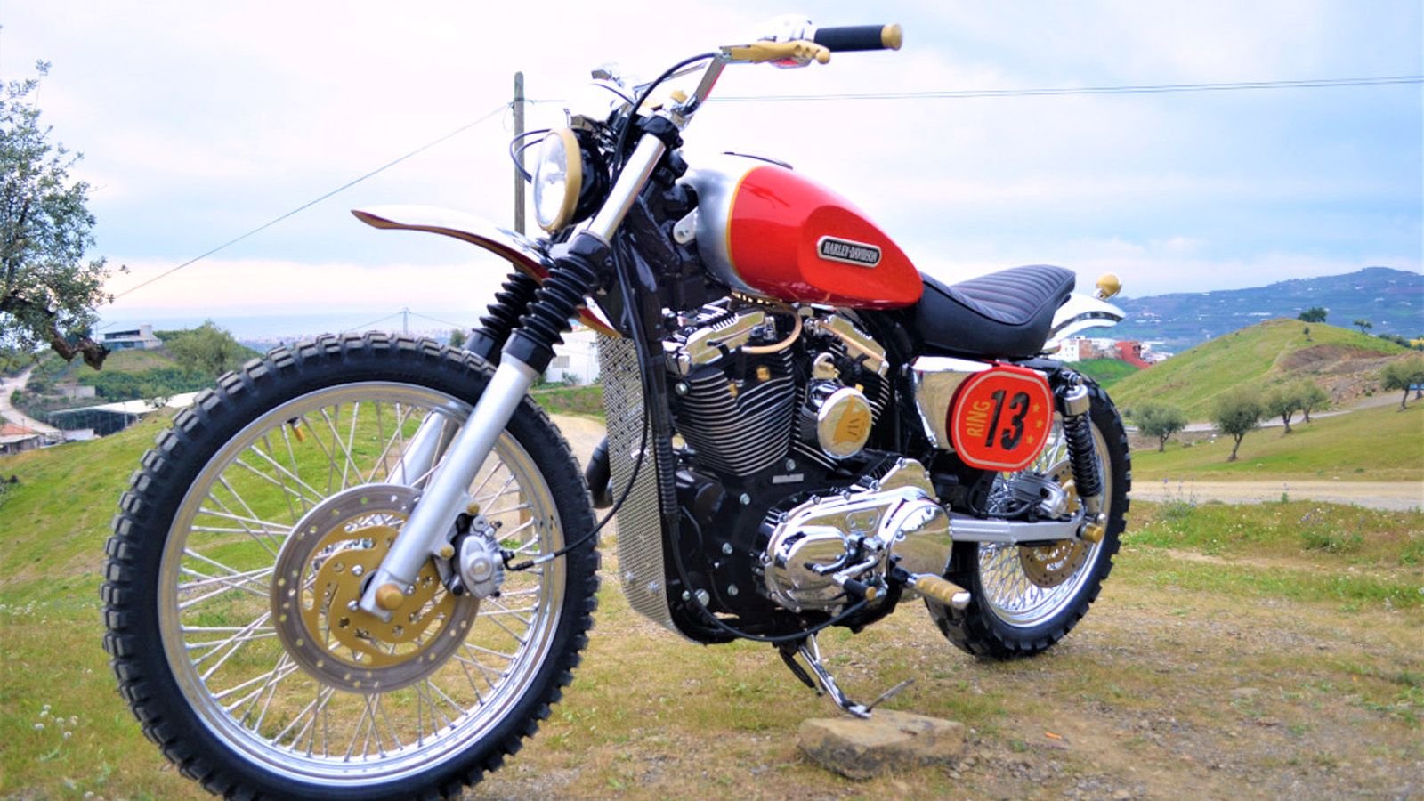 Spanish Sportster Scrambler Digs Race Roots | Hdforums