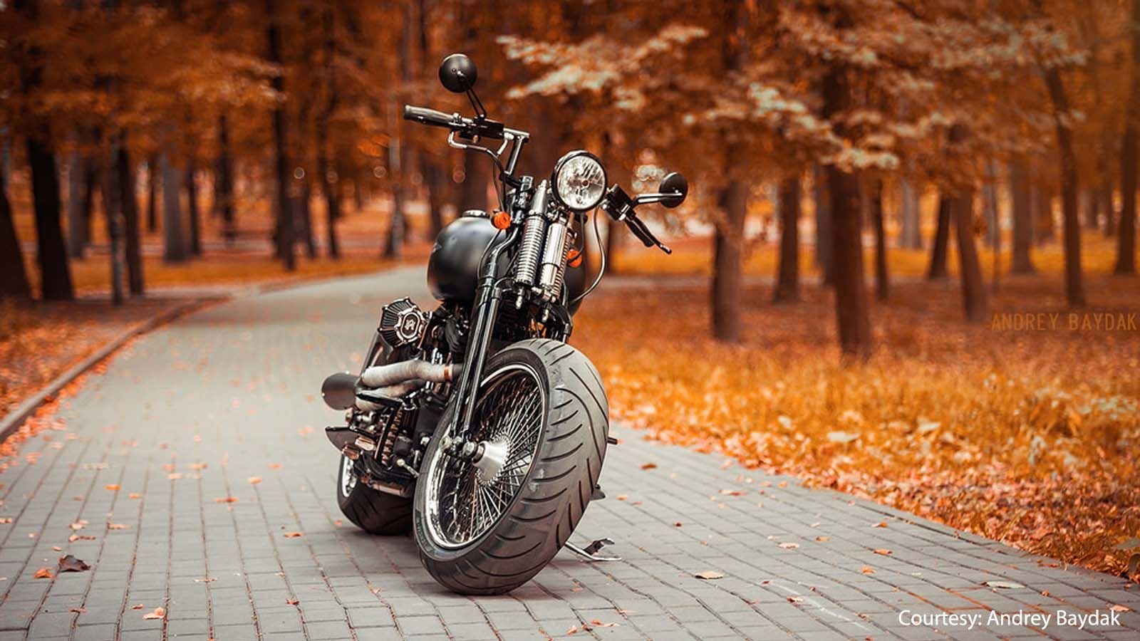 9 Harley-Davidsons Under Autumn Leaves | Hdforums
