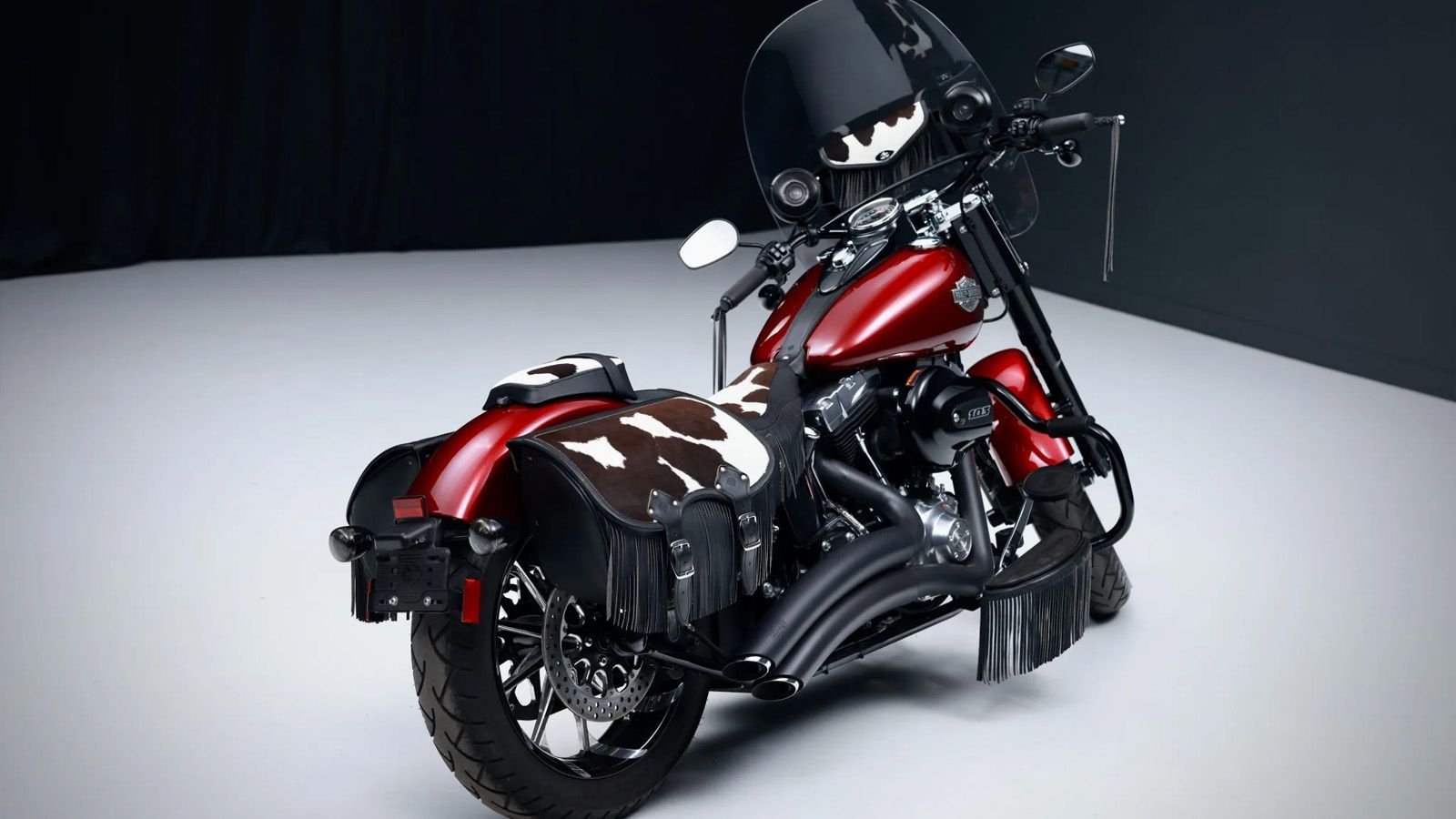 Softail Slim Hoofs it as Moo Glide Throwback | Hdforums