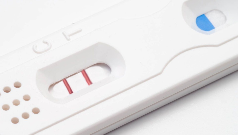 OPK as HPT: Can I Use an Ovulation Prediction Kit as a Pregnancy Test ...