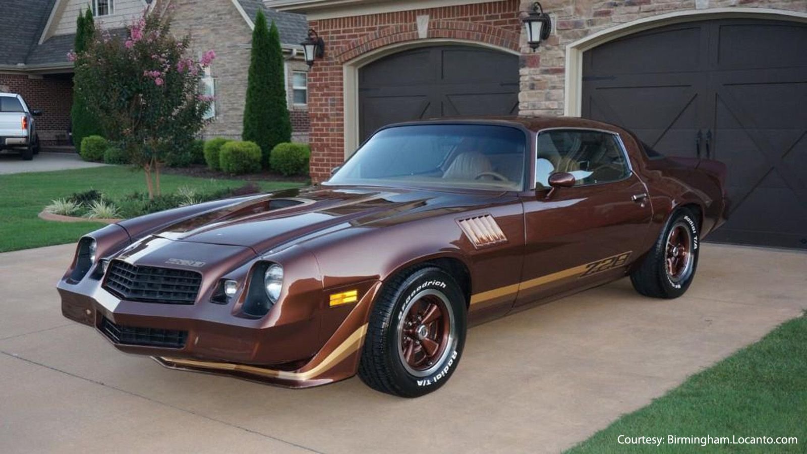 1979 Camaro Interior Colors - Infoupdate.org