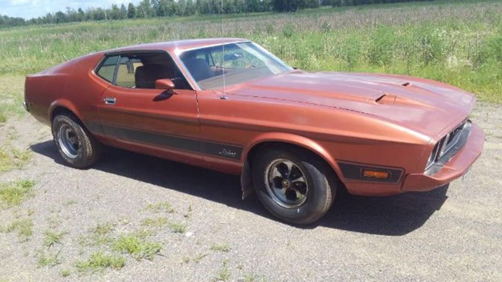 Mach Speed: A History of the Mustang Mach 1 | Themustangsource