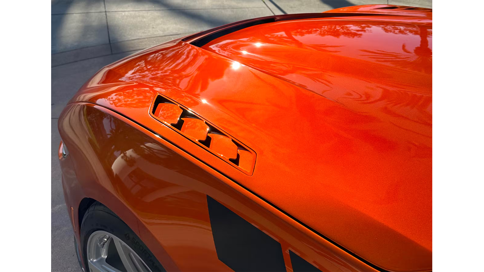 800 HP Saleen 302 Black Label Is The Tuner's Best Mustang Yet ...