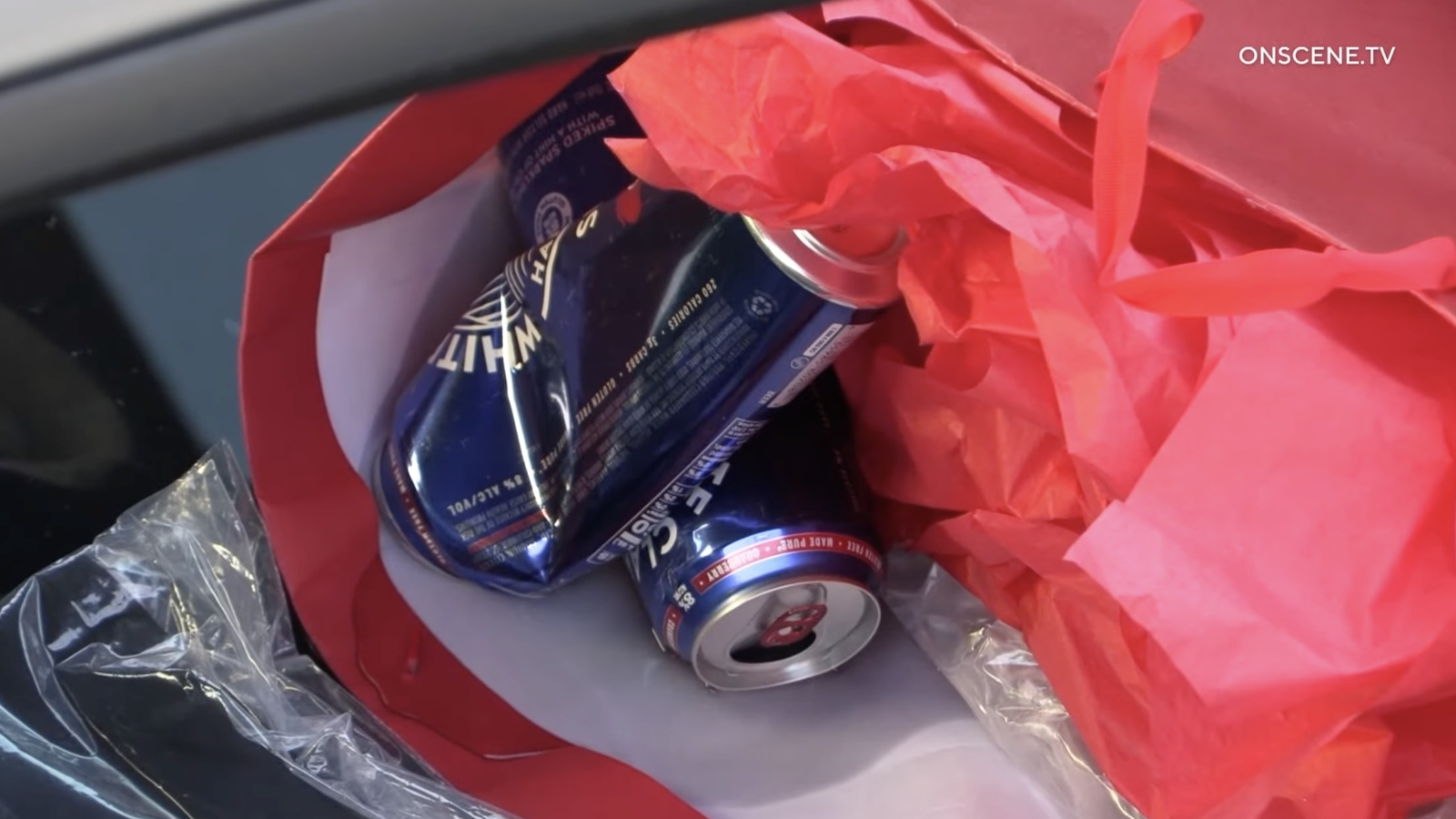 Mustang Goes Swimming In San Diego Bay, Owners Claim It Wasn't Them ...