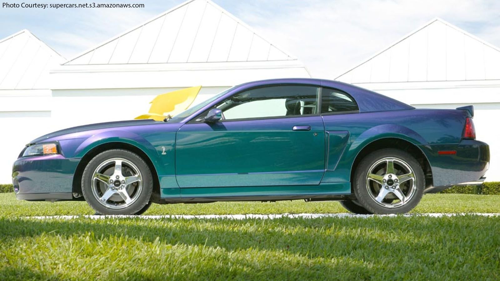 10 Rare Mustang Special Editions | Themustangsource