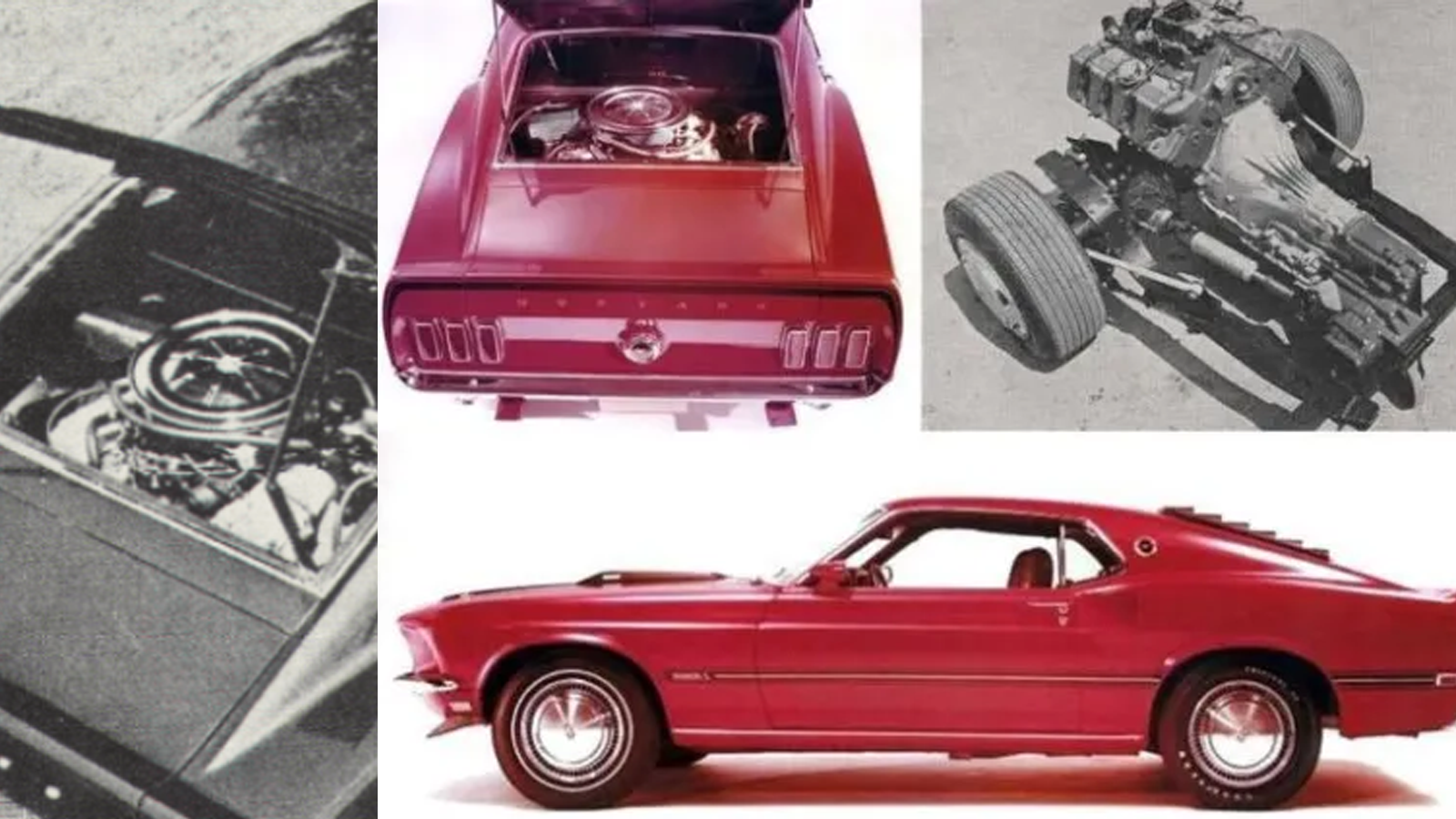 10 Rarest Ford Mustang Variants In History | Themustangsource