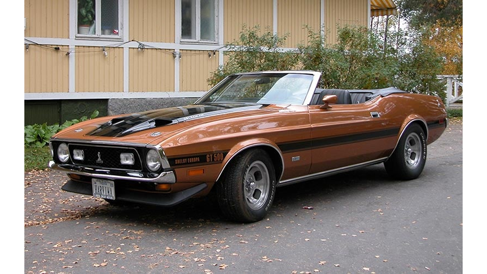 10 Rarest Ford Mustang Variants In History | Themustangsource