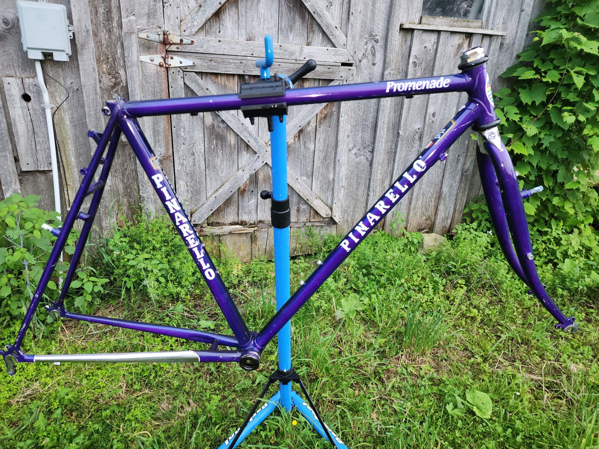 Bike Forums - 90s Pinarello Promenade