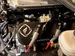 2001 WS6 Drive and Drag Street Car for Sale in FLINT, TX | RacingJunk