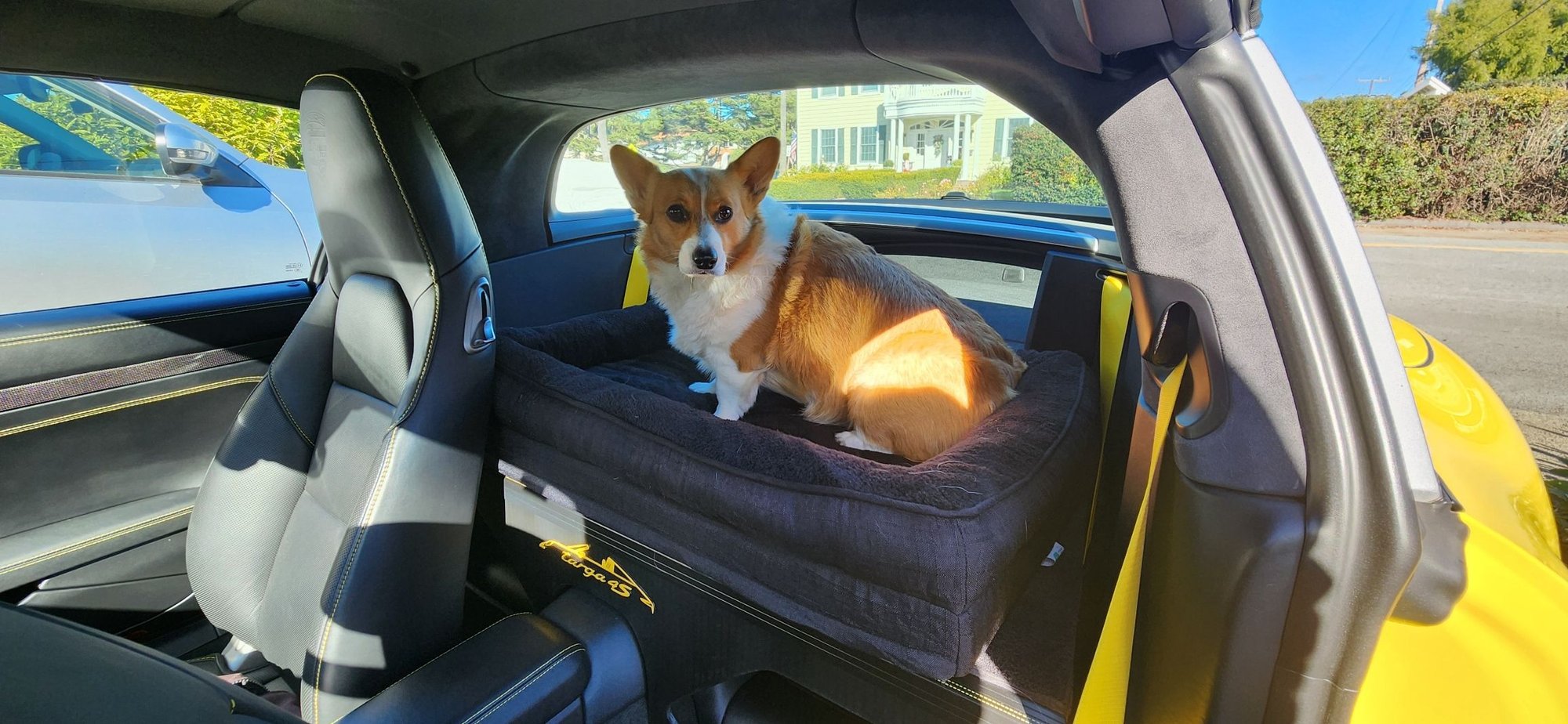 Rear seat luggage/dog carrying modification - Page 4 - Rennlist ...