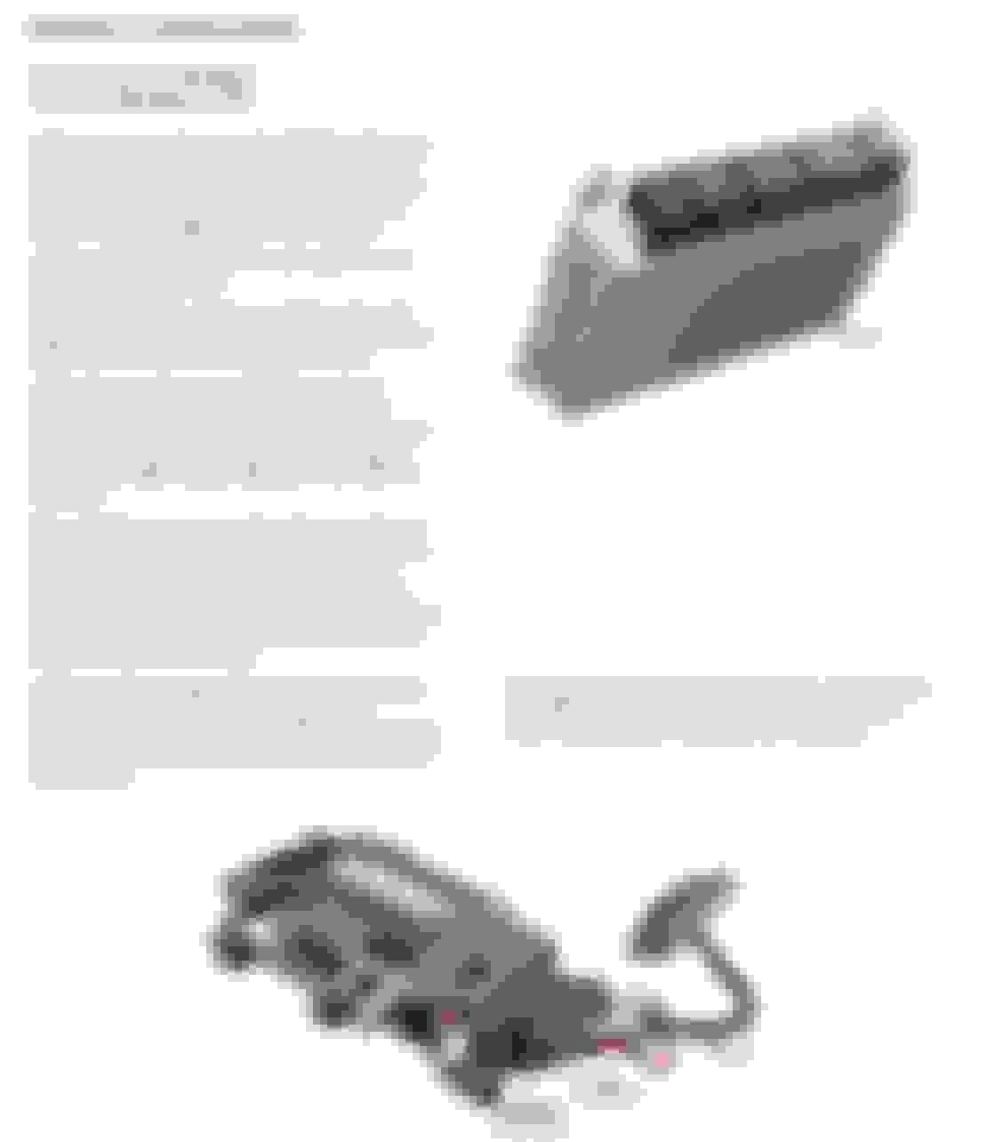 Suspension control module - AudiWorld Forums