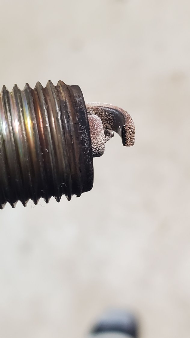 Spark plug replacement, is this normal wear? - AudiWorld Forums