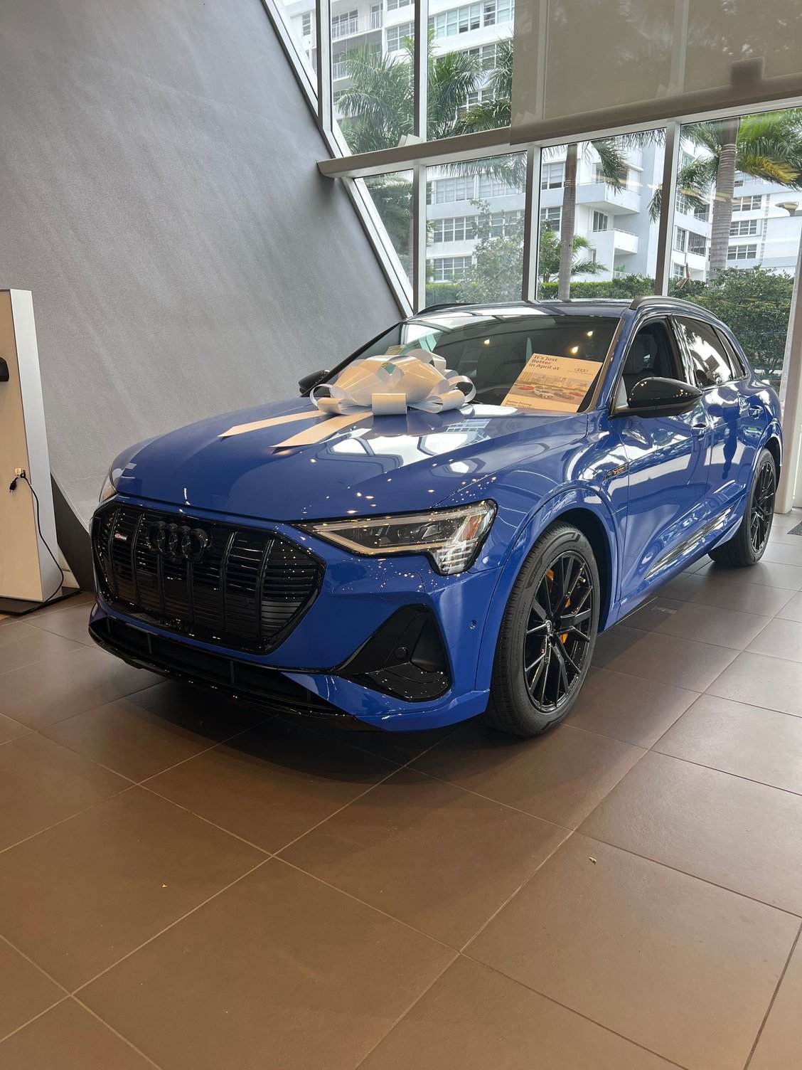 Nogaro Blue - AudiWorld Forums