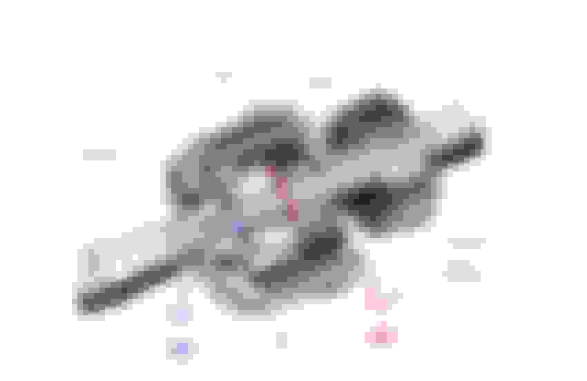 KR: Understanding the torque distribution principle of the Audi Torsen Quattro - AudiWorld Forums