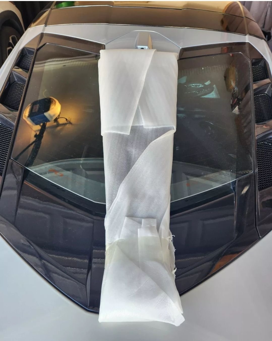 FS (For Sale) C8 Split Window Applique $150 includes shipping ...