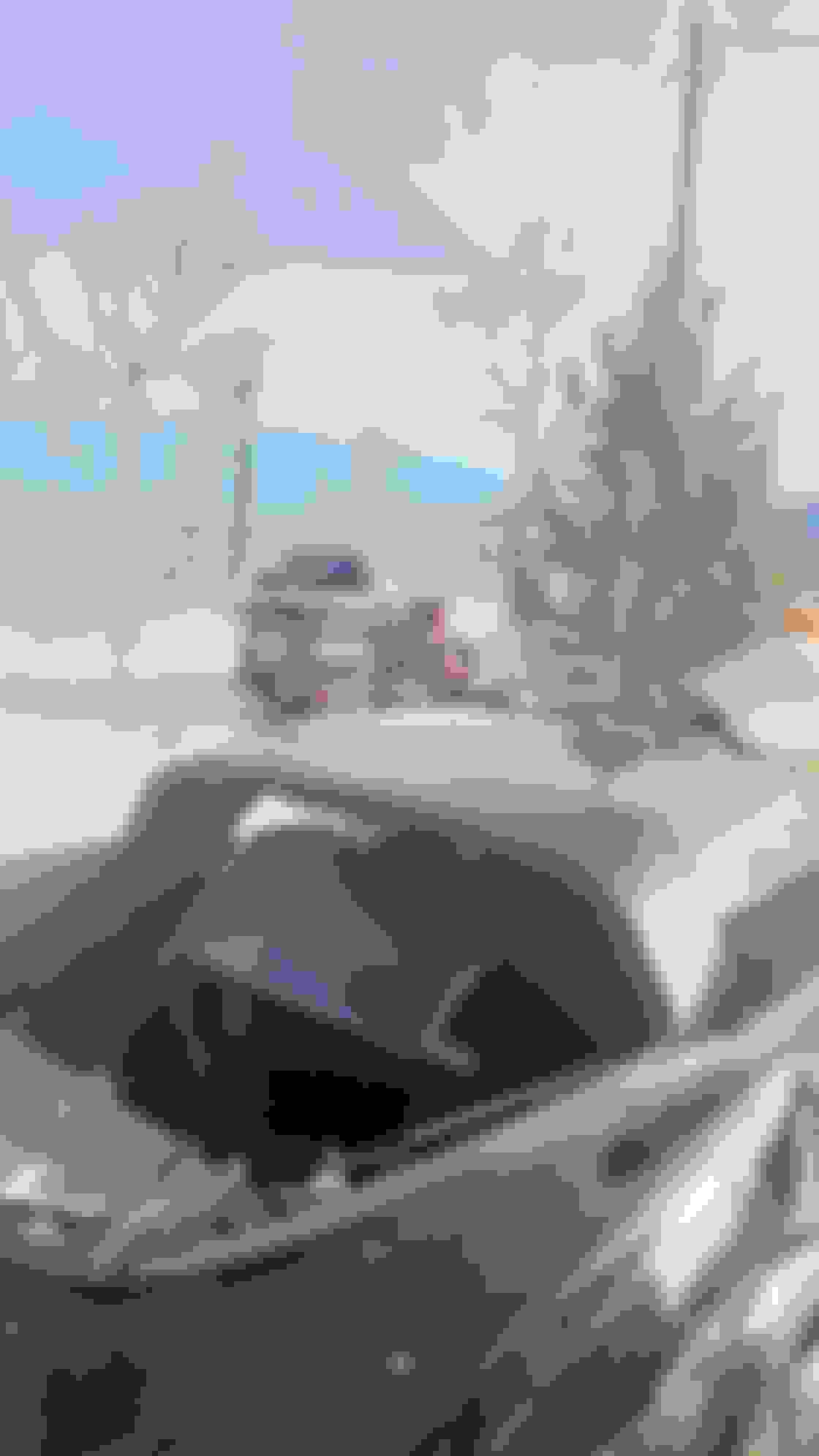 FS (For Sale) 1980 corvette - CorvetteForum - Chevrolet Corvette Forum ...