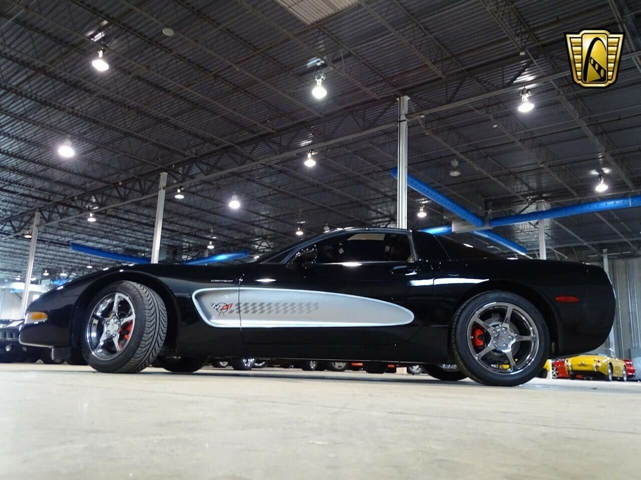 Interesting paint on a C5 - CorvetteForum - Chevrolet Corvette Forum ...