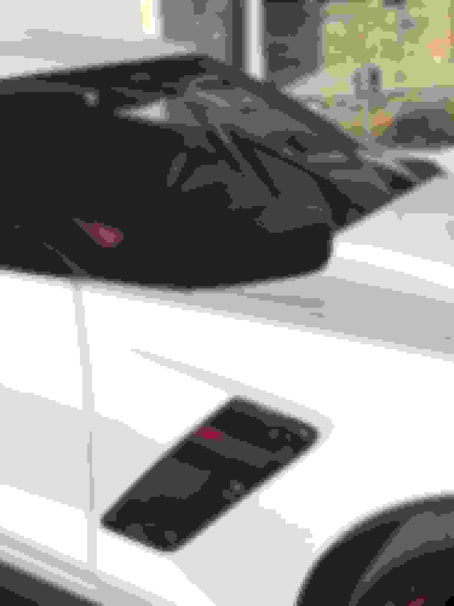 Official Z06 picture thread - Page 129 - CorvetteForum - Chevrolet ...