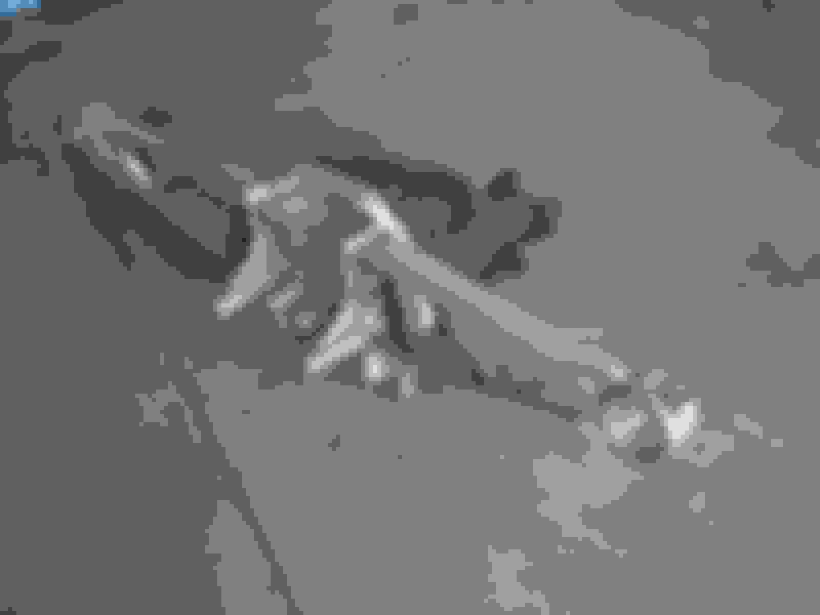 C4 Toe rod play in the inner joint? - CorvetteForum - Chevrolet ...