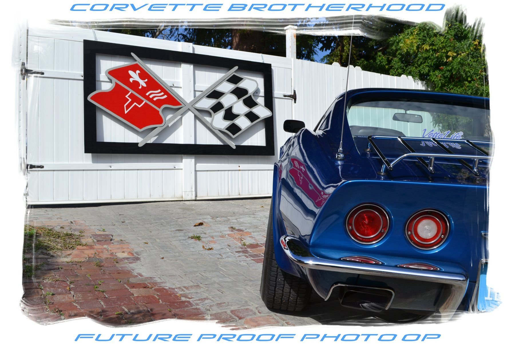 Poster - CorvetteForum - Chevrolet Corvette Forum Discussion