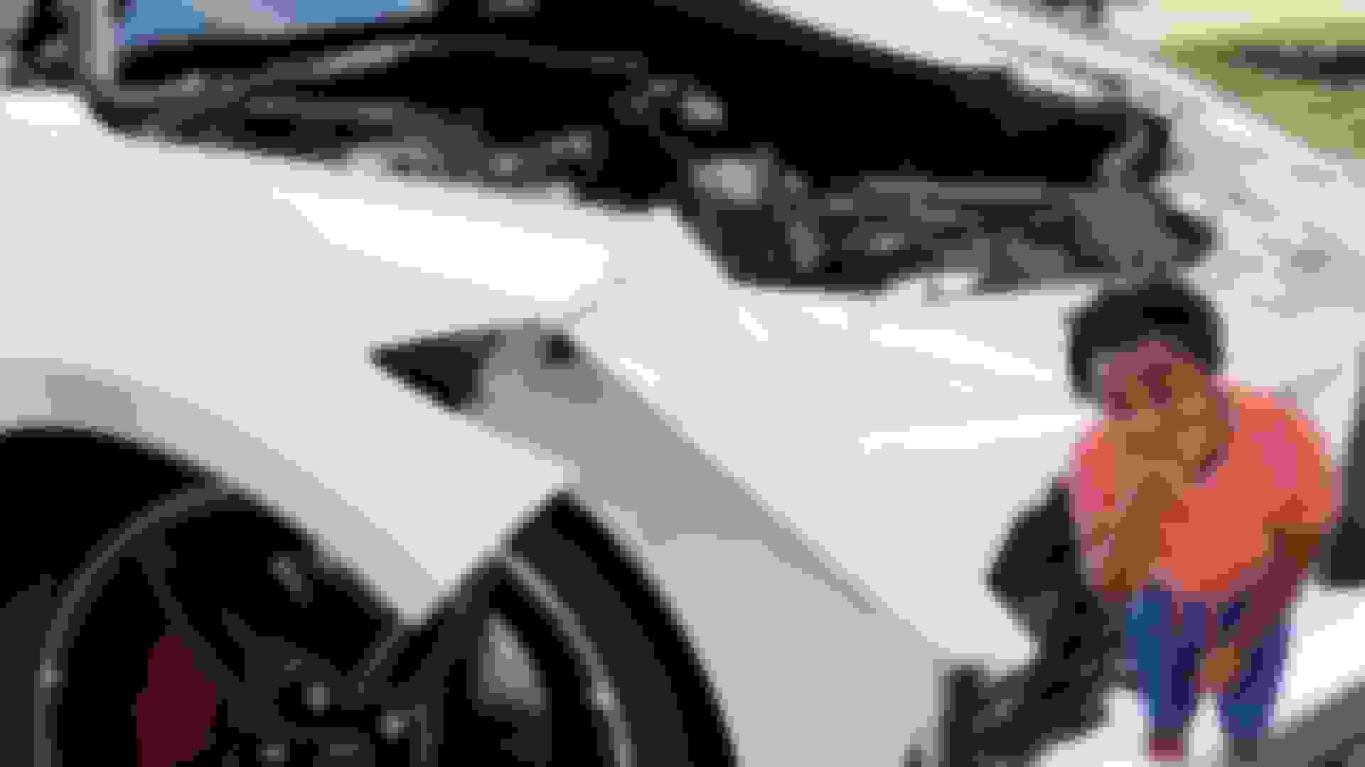 Corvette Repair - CorvetteForum - Chevrolet Corvette Forum Discussion