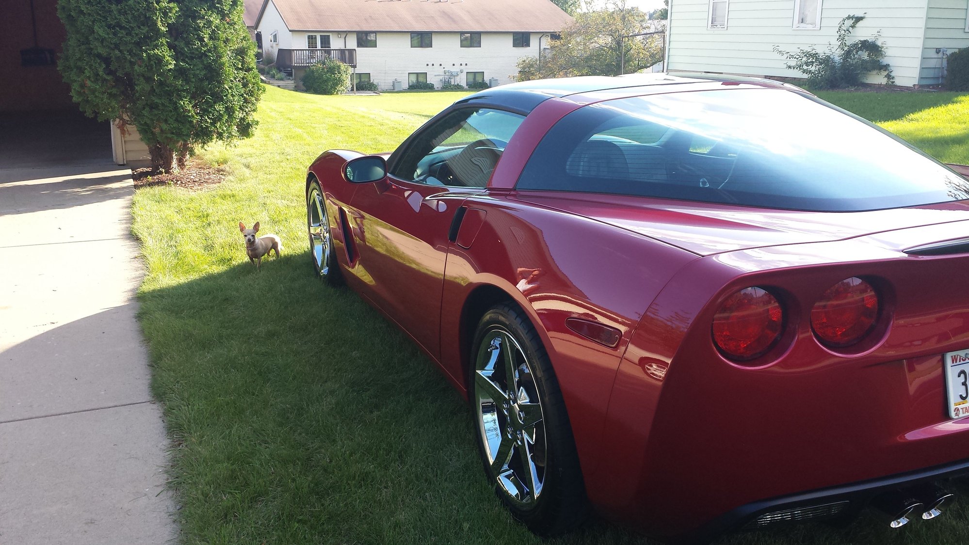 Clayed & waxed my magnetic red c6/lets see your 05 magnetic reds ...