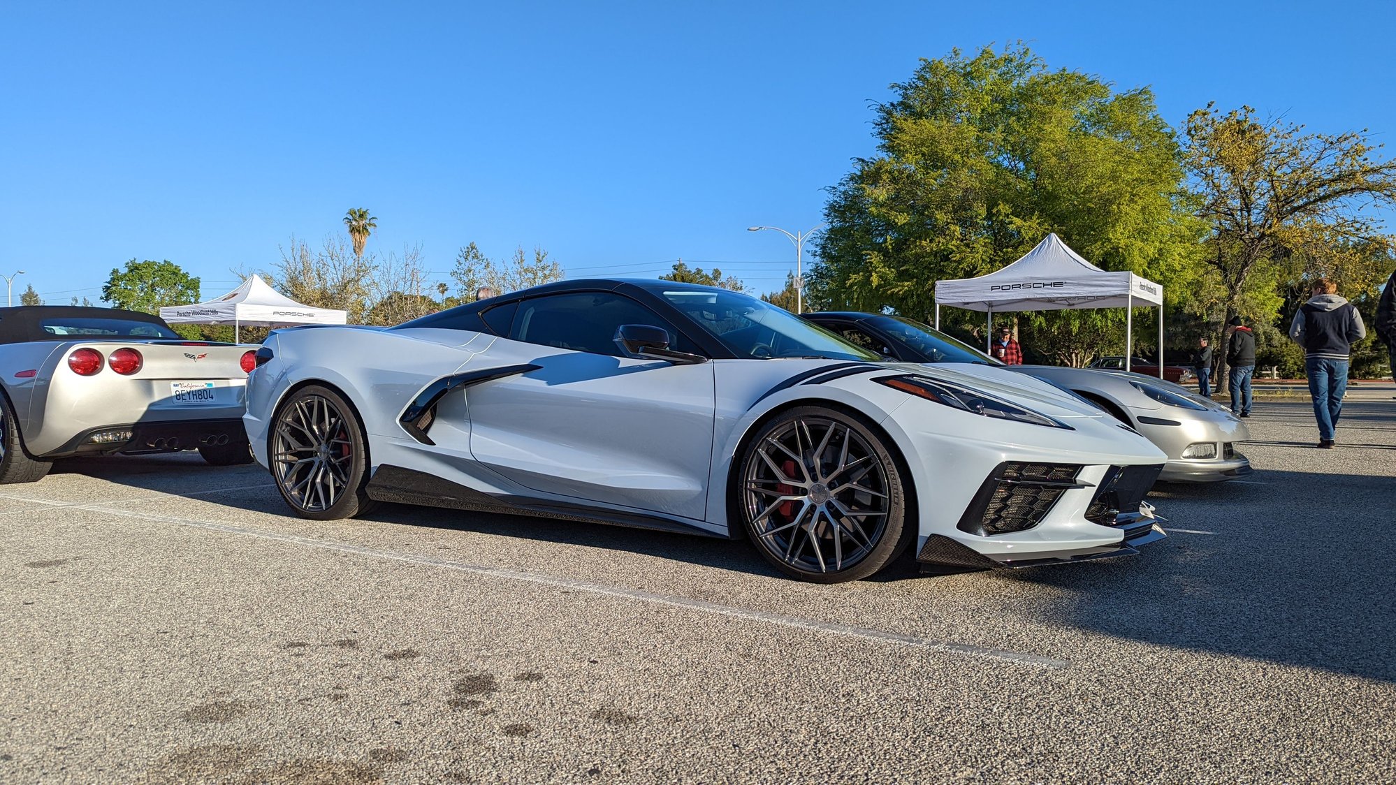 best looking spoiler on the c8..z51, low profile or no spoiler ...