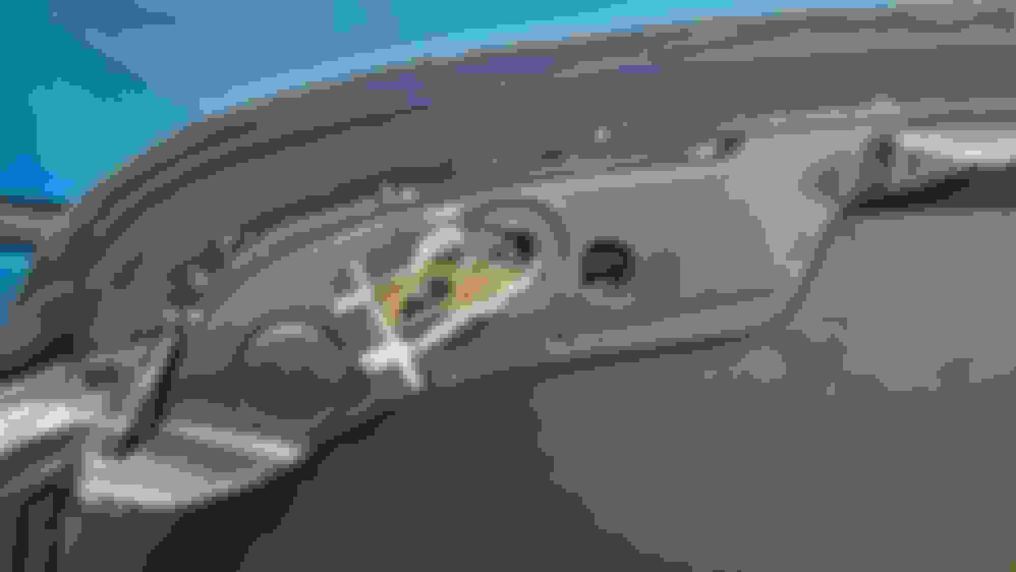 PO'd at the PO - CorvetteForum - Chevrolet Corvette Forum Discussion