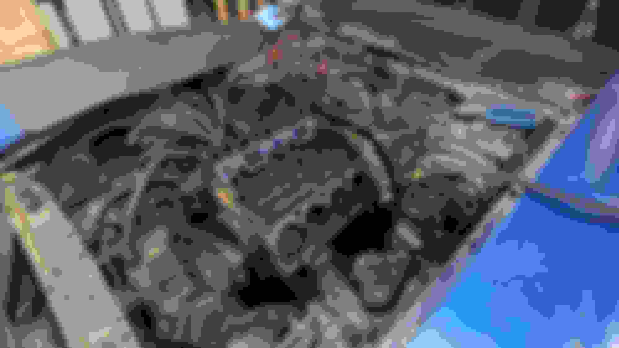 Project Thread: 1977 Corvette - CorvetteForum - Chevrolet Corvette Forum Discussion