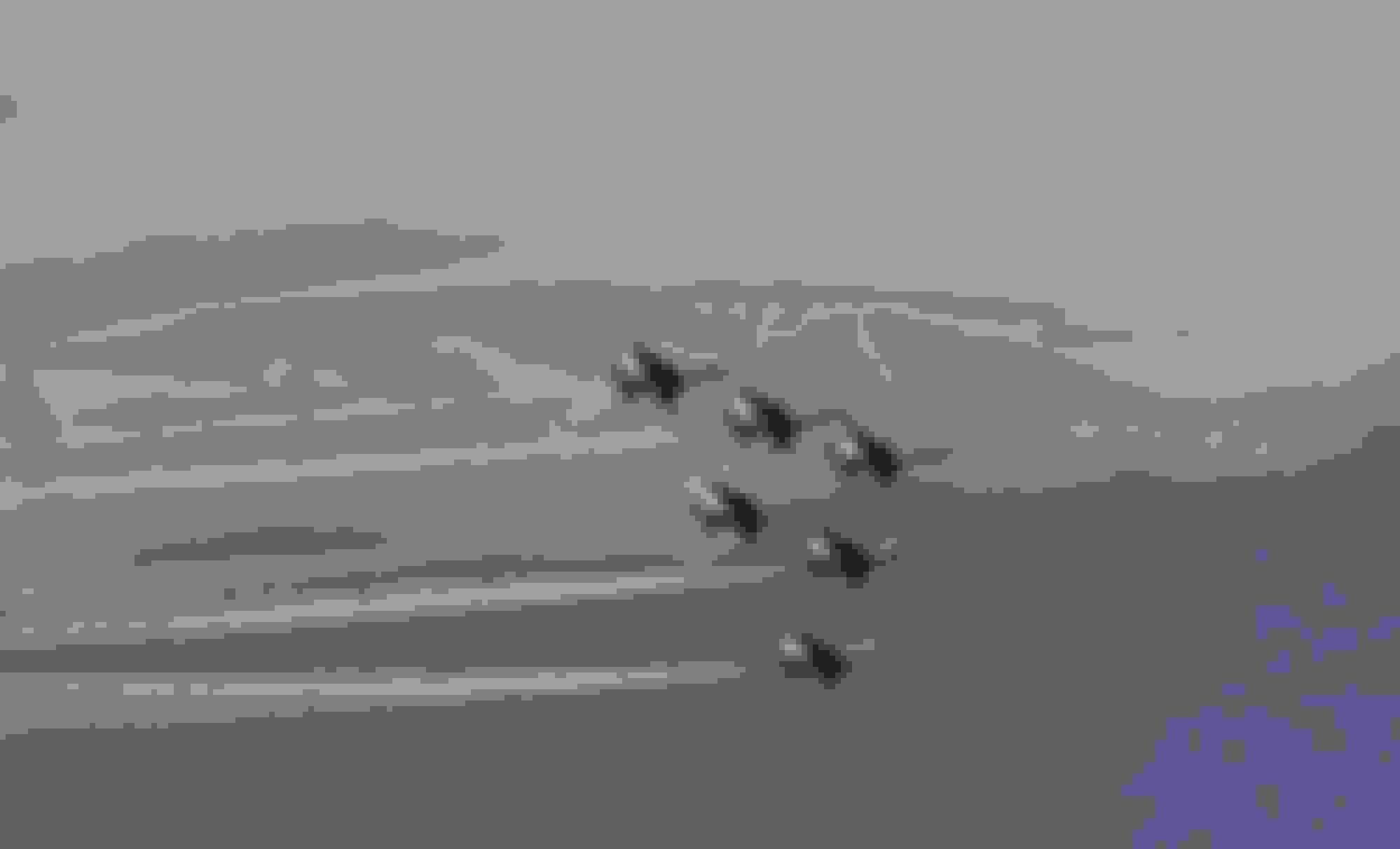 OT - Thunderbirds at AF Academy Graduation - CorvetteForum - Chevrolet ...