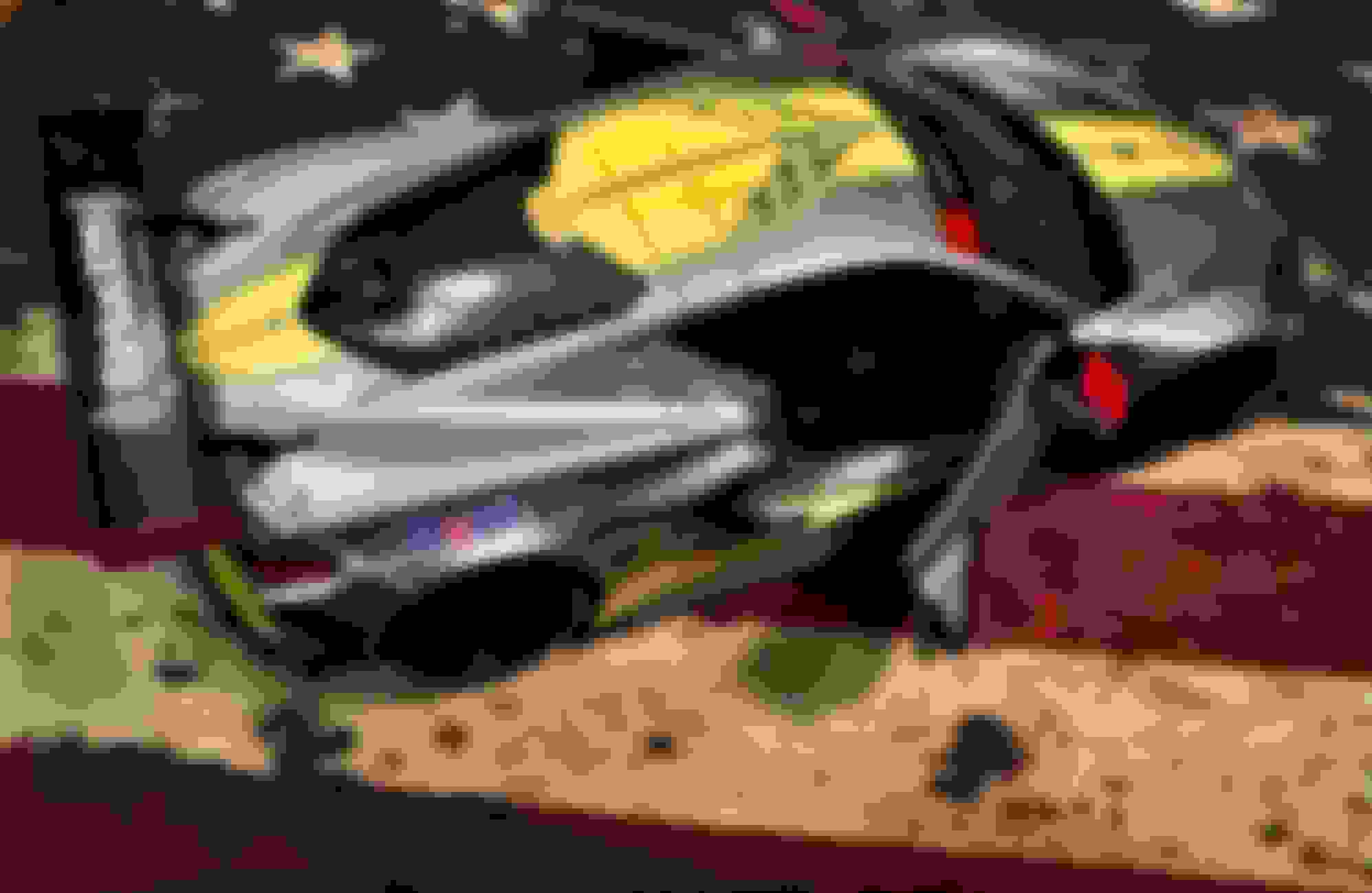 TEMU haul….. - CorvetteForum - Chevrolet Corvette Forum Discussion