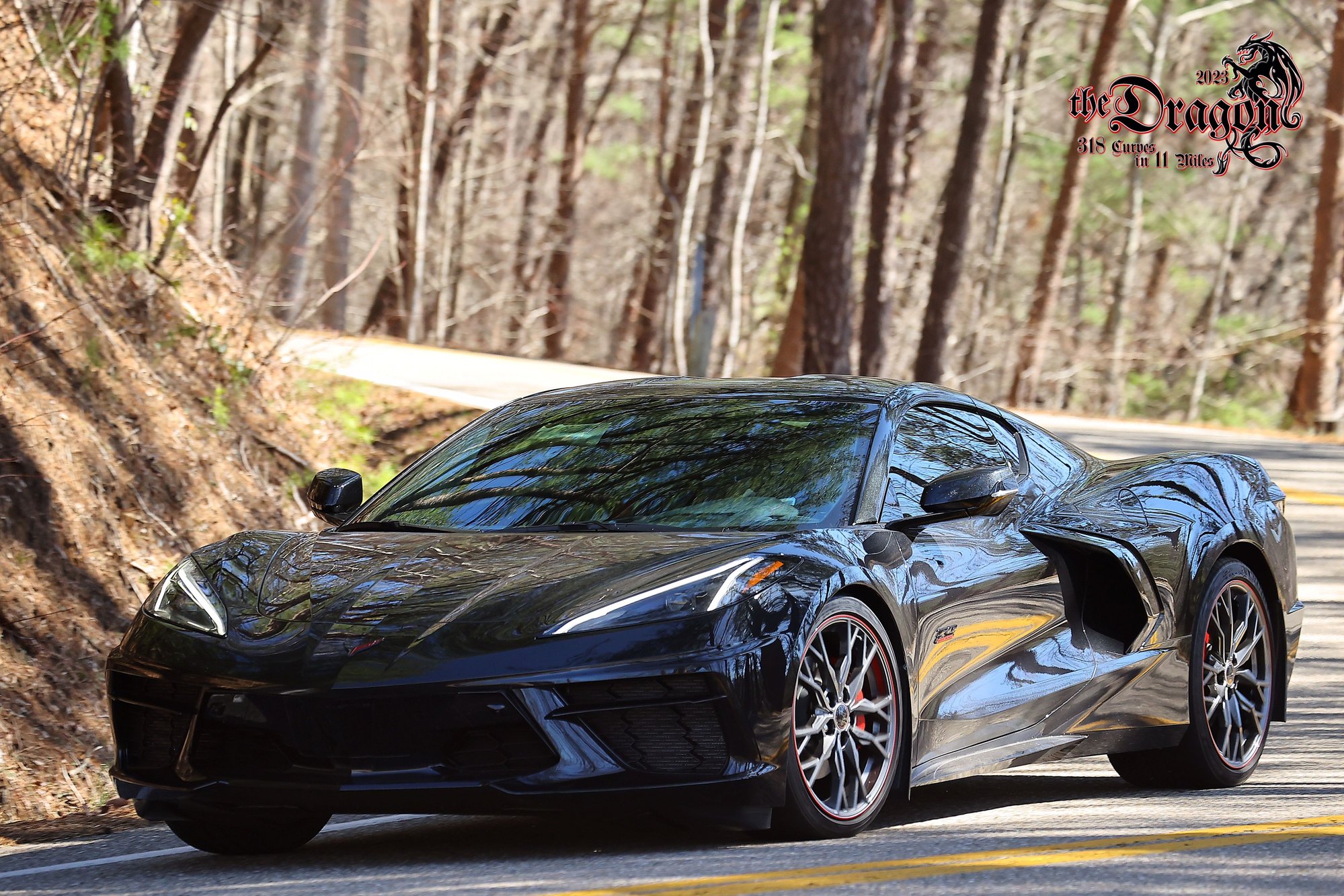 Official Carbon Flash Metallic Black Thread - CorvetteForum - Chevrolet ...