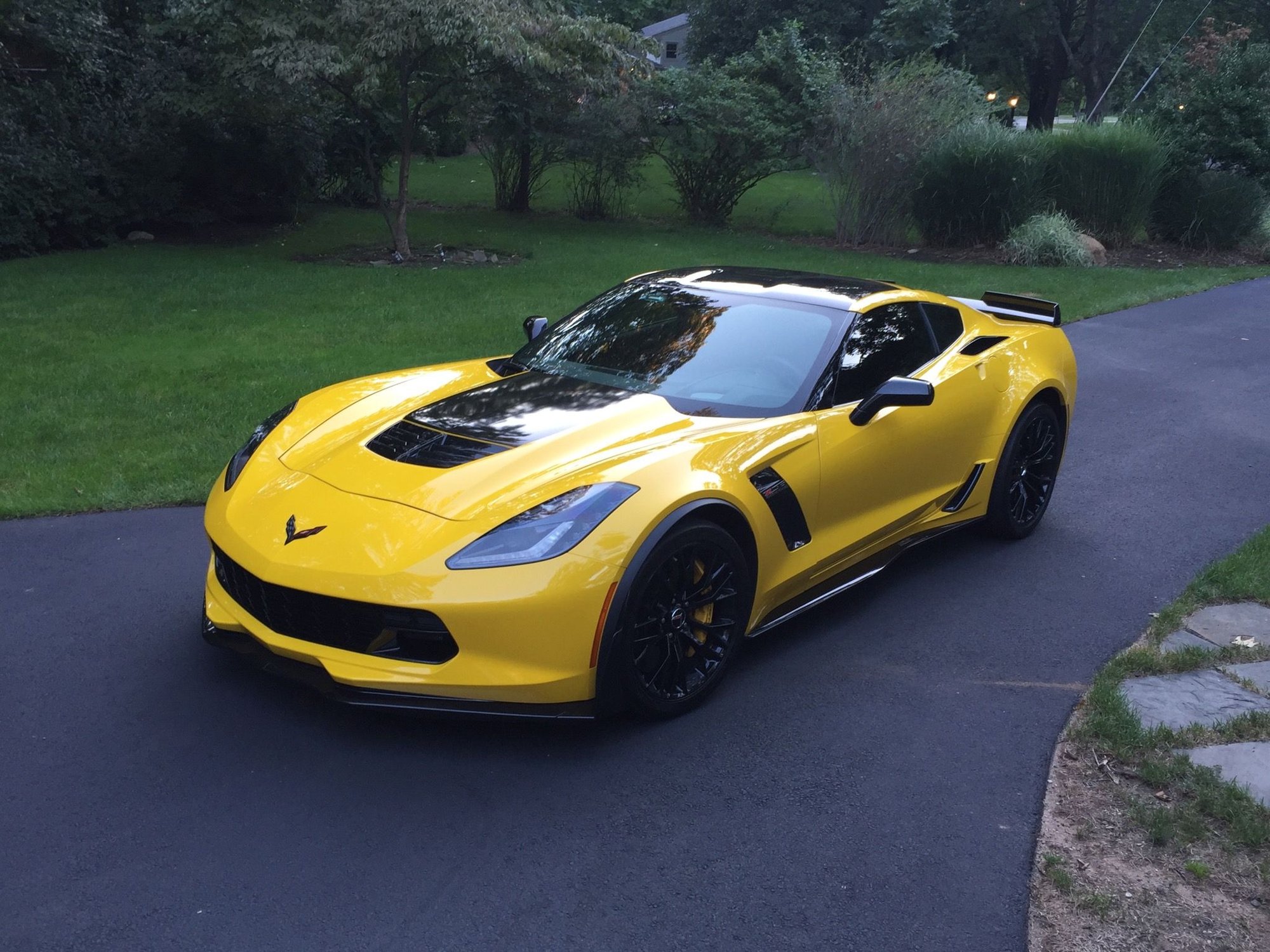 Official Corvette Racing Yellow Thread - Page 5 - CorvetteForum ...