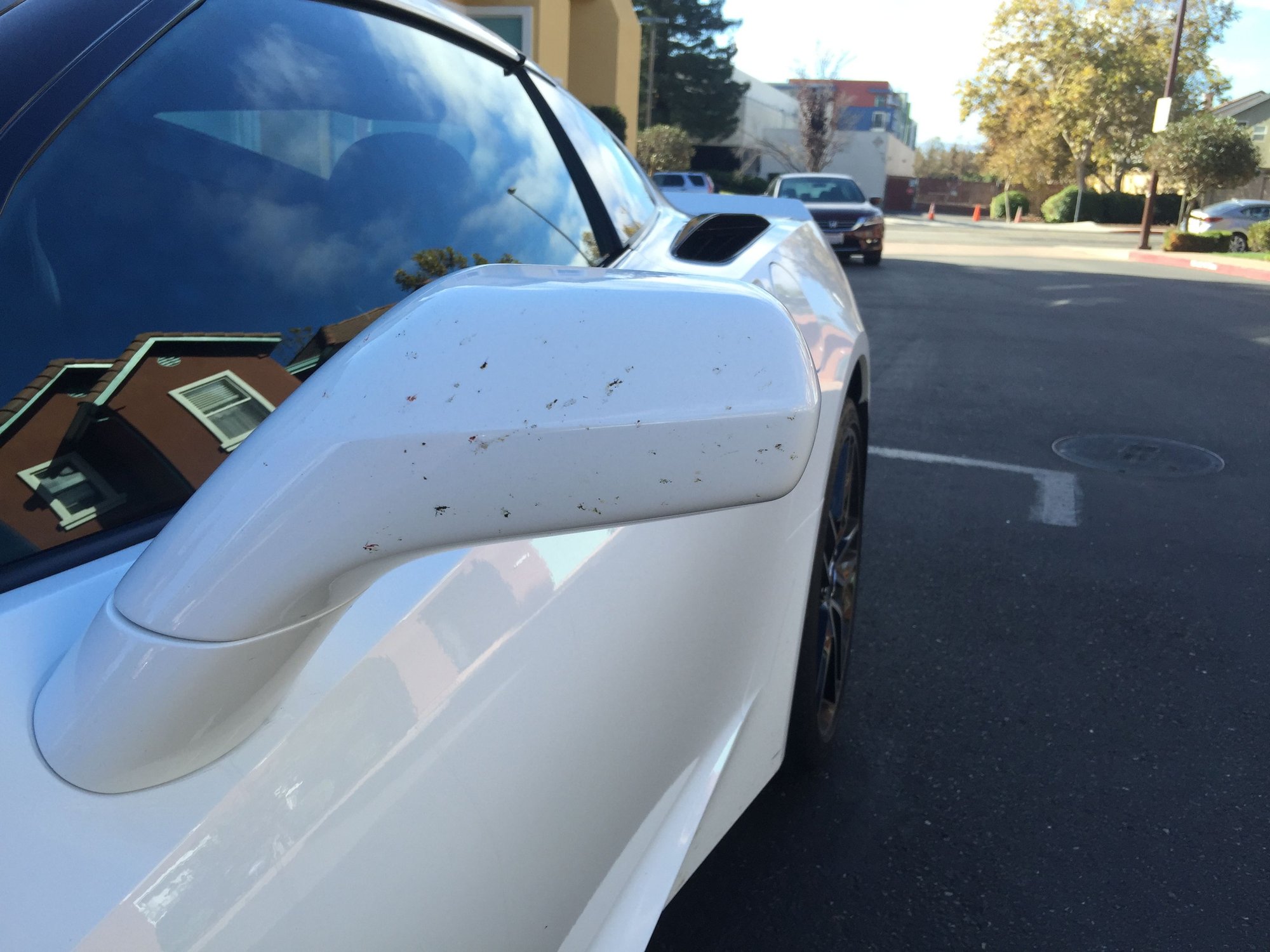 Sprayed with a load of bug guts - CorvetteForum - Chevrolet Corvette ...
