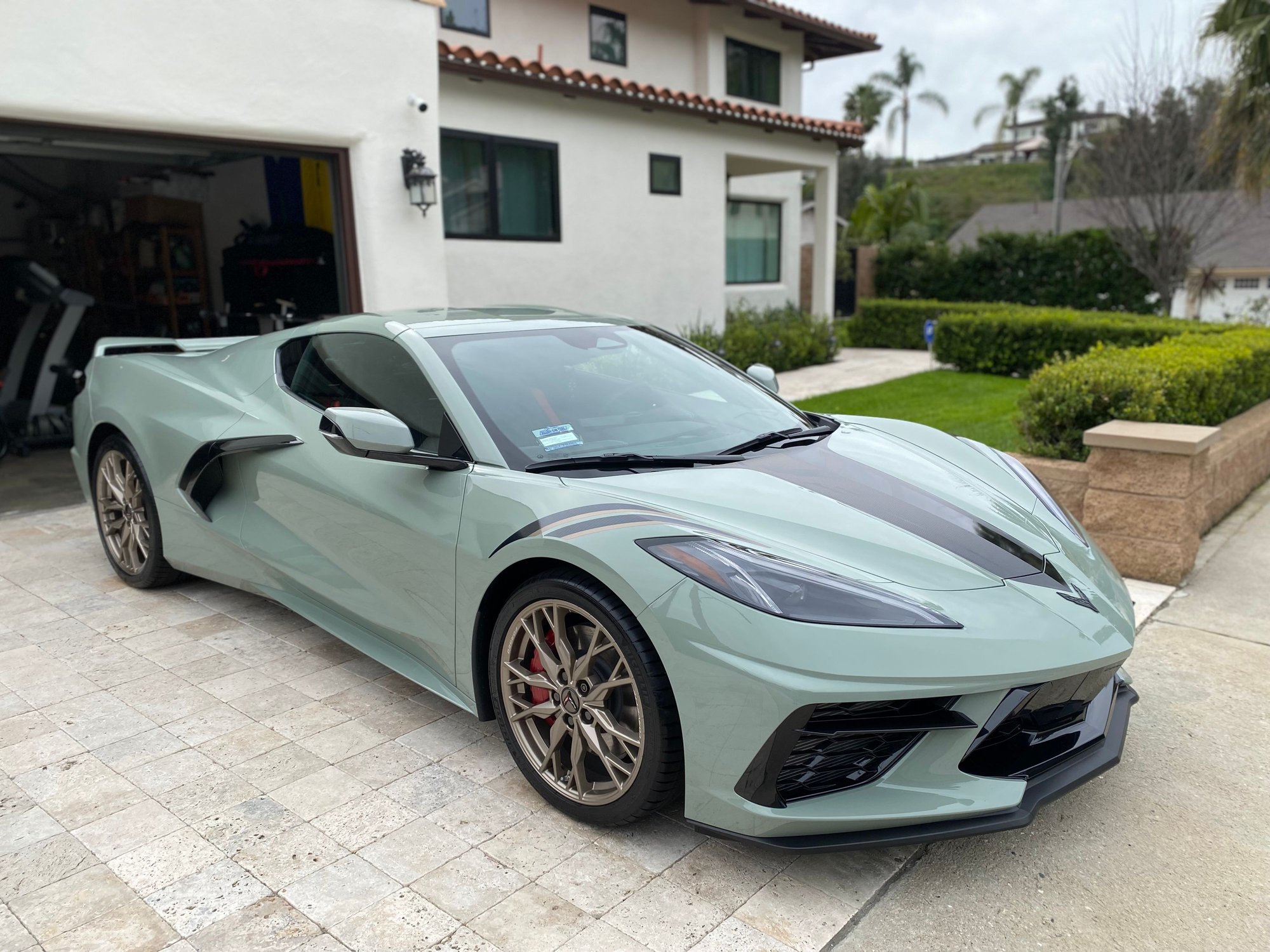 Cacti green is total class! - Page 6 - CorvetteForum - Chevrolet ...