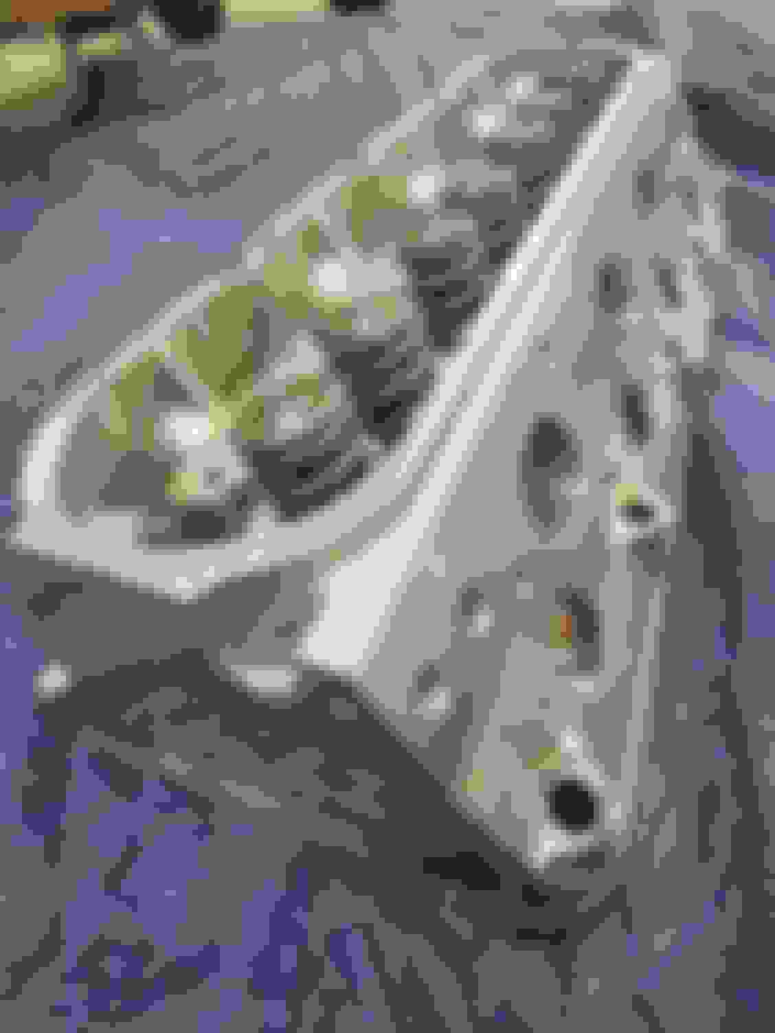 FS (For Sale) Tony mamo motorsports 235 cnc+ heads - CorvetteForum ...