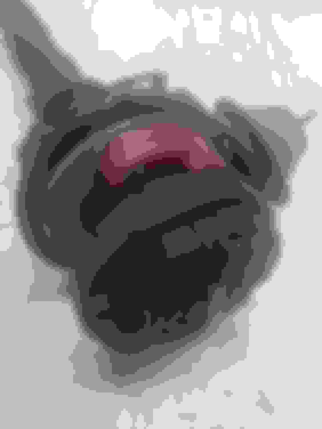 Tach Drive Distributor 1111093 - CorvetteForum - Chevrolet Corvette ...