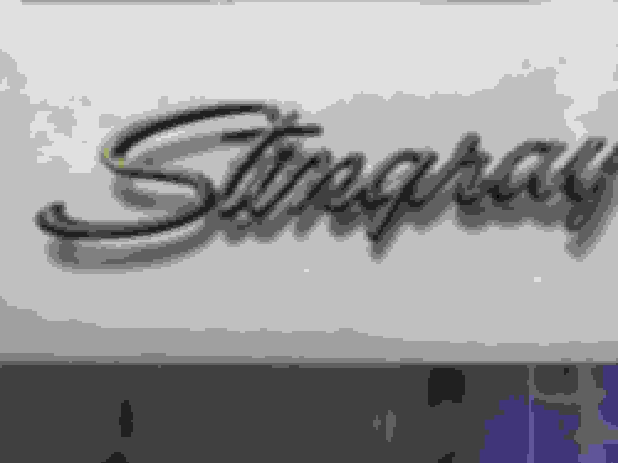 Stingray Script Paint - CorvetteForum - Chevrolet Corvette Forum Discussion