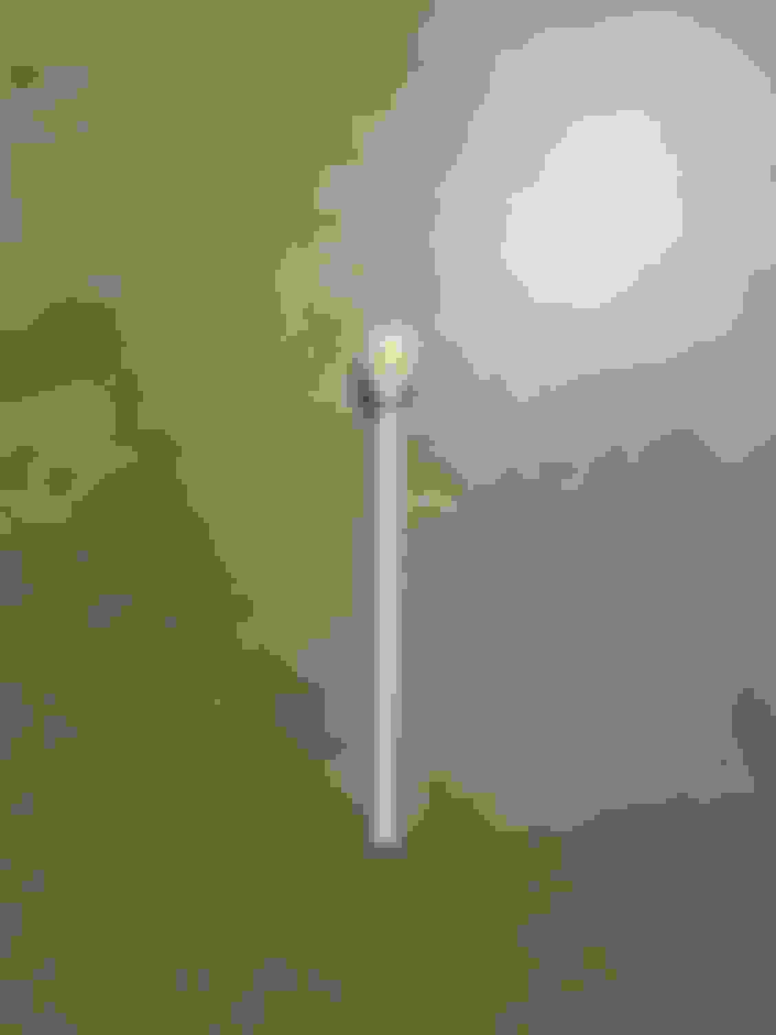 What do u think about my Splux rims? I can’t wait for car show season ...