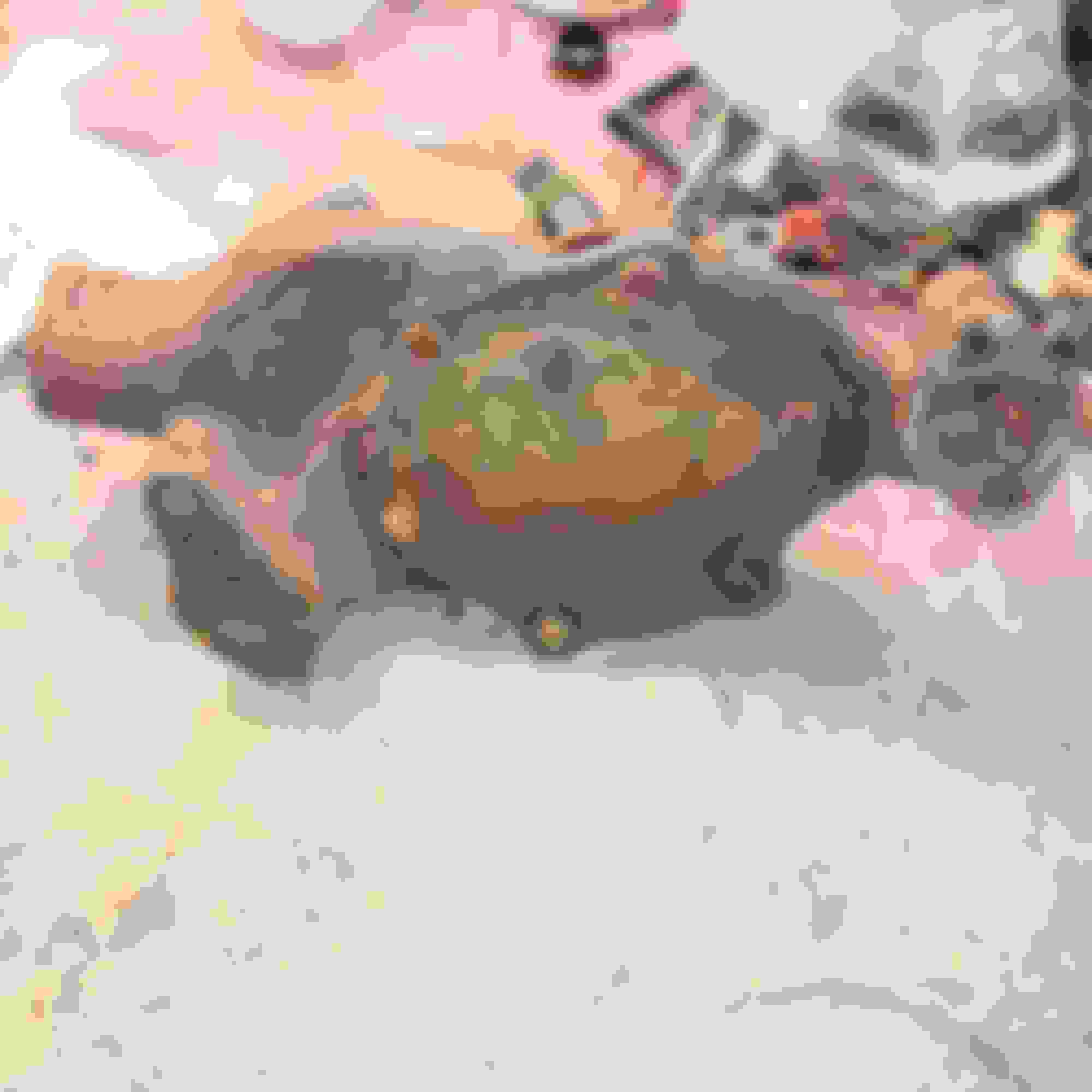 FS (For Sale) 1964 Water pump sbc 3782608 - CorvetteForum - Chevrolet ...