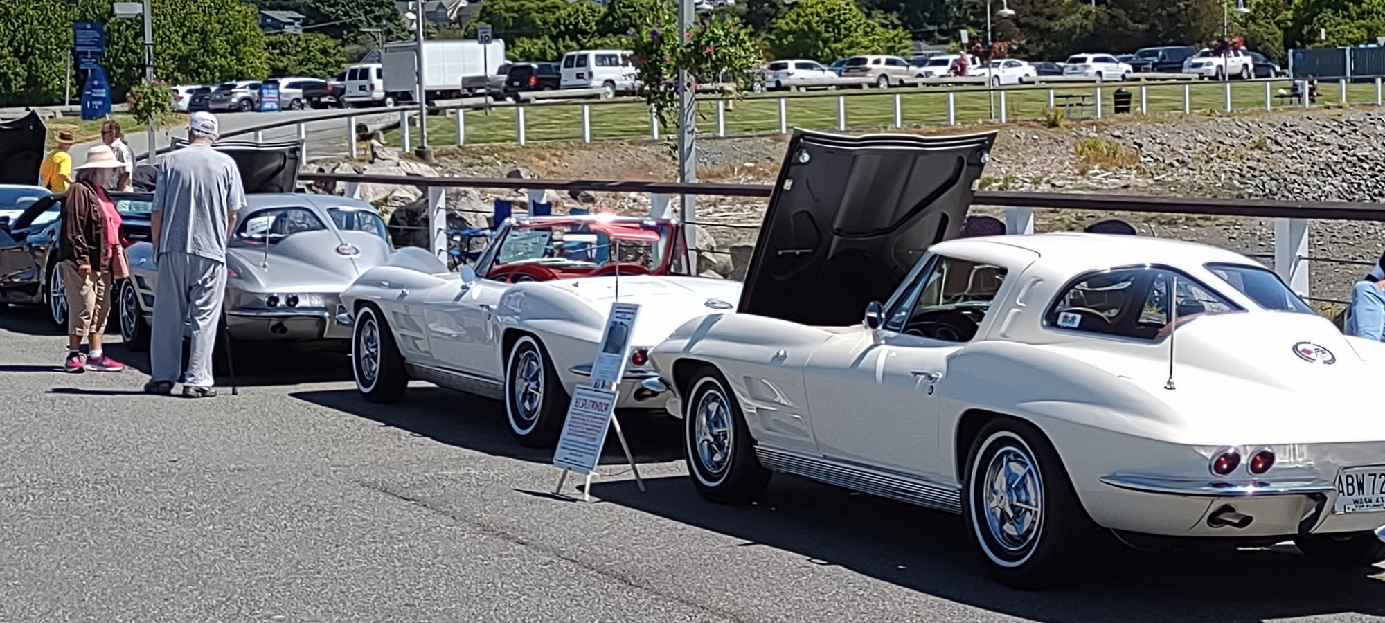 All Corvette car show Anacortes WA - CorvetteForum - Chevrolet Corvette ...