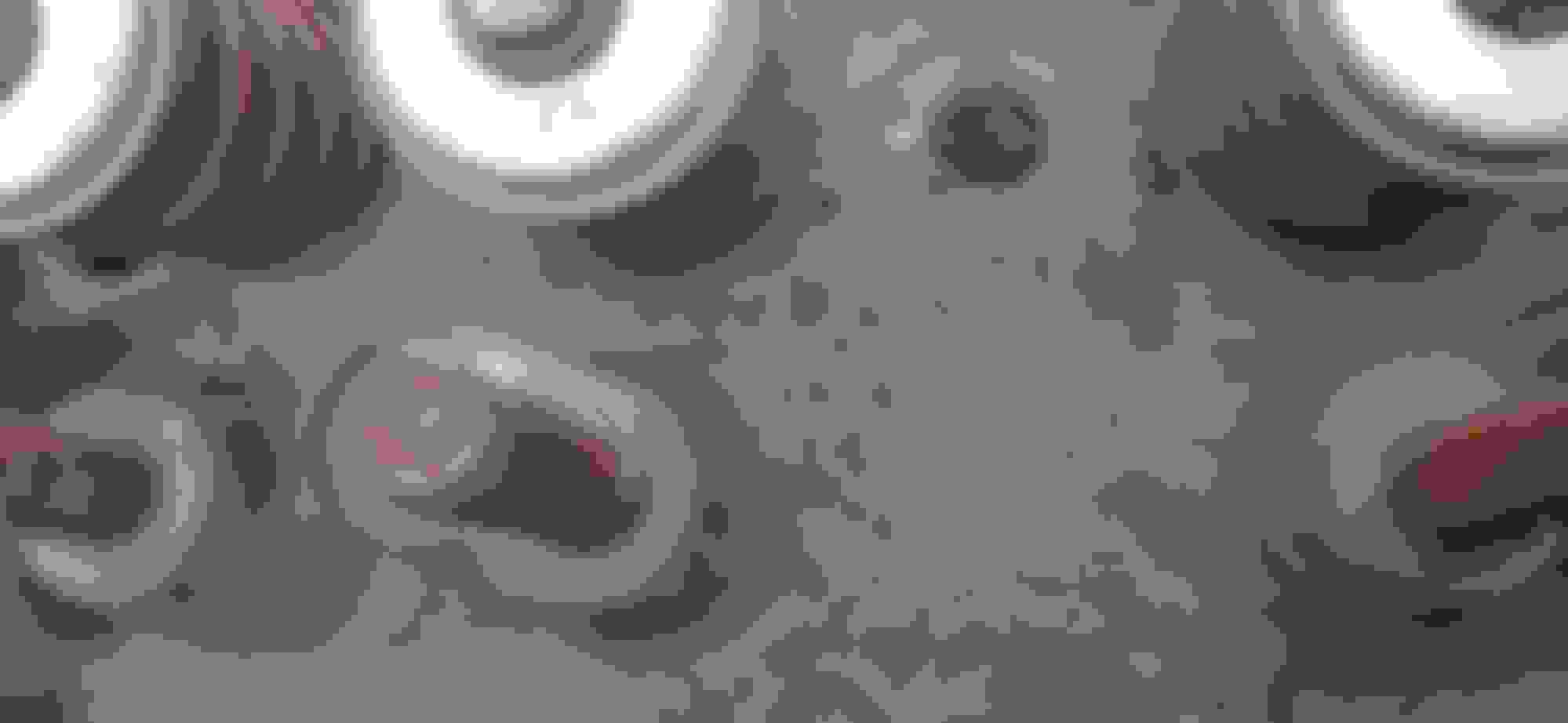 FS (For Sale) 461x heads - CorvetteForum - Chevrolet Corvette Forum ...