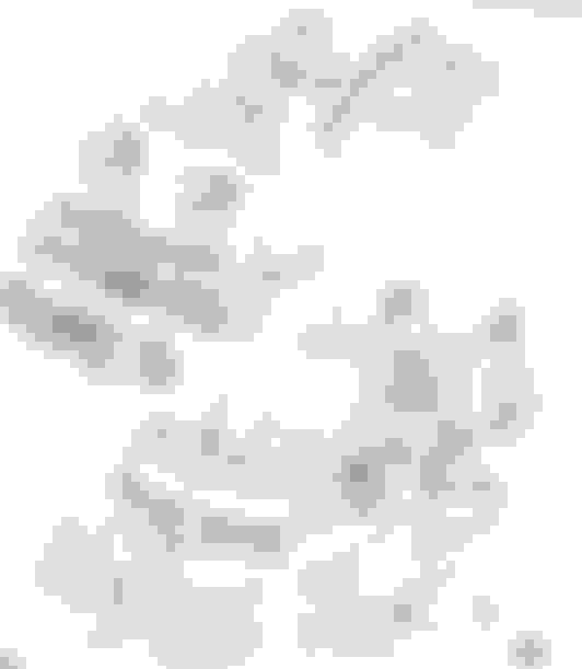 Front plate air intake Q - CorvetteForum - Chevrolet Corvette Forum ...