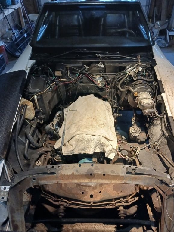 Ugly Engine Bay Cleanup - CorvetteForum - Chevrolet Corvette Forum ...