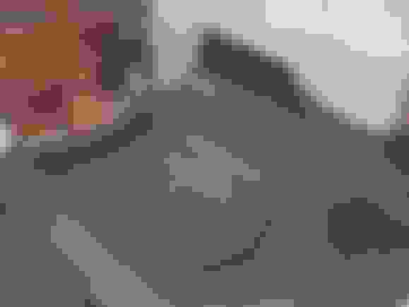 Corvette Summer Build - Page 6 - CorvetteForum - Chevrolet Corvette ...