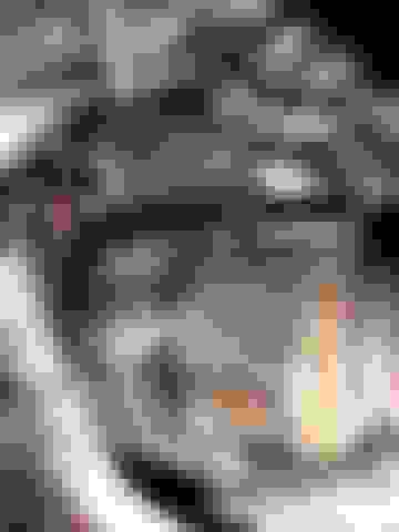 Z06 2013 427 7.0 ls6 - CorvetteForum - Chevrolet Corvette Forum Discussion