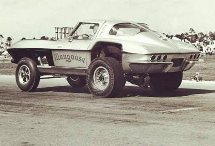 Mongoose - CorvetteForum - Chevrolet Corvette Forum Discussion