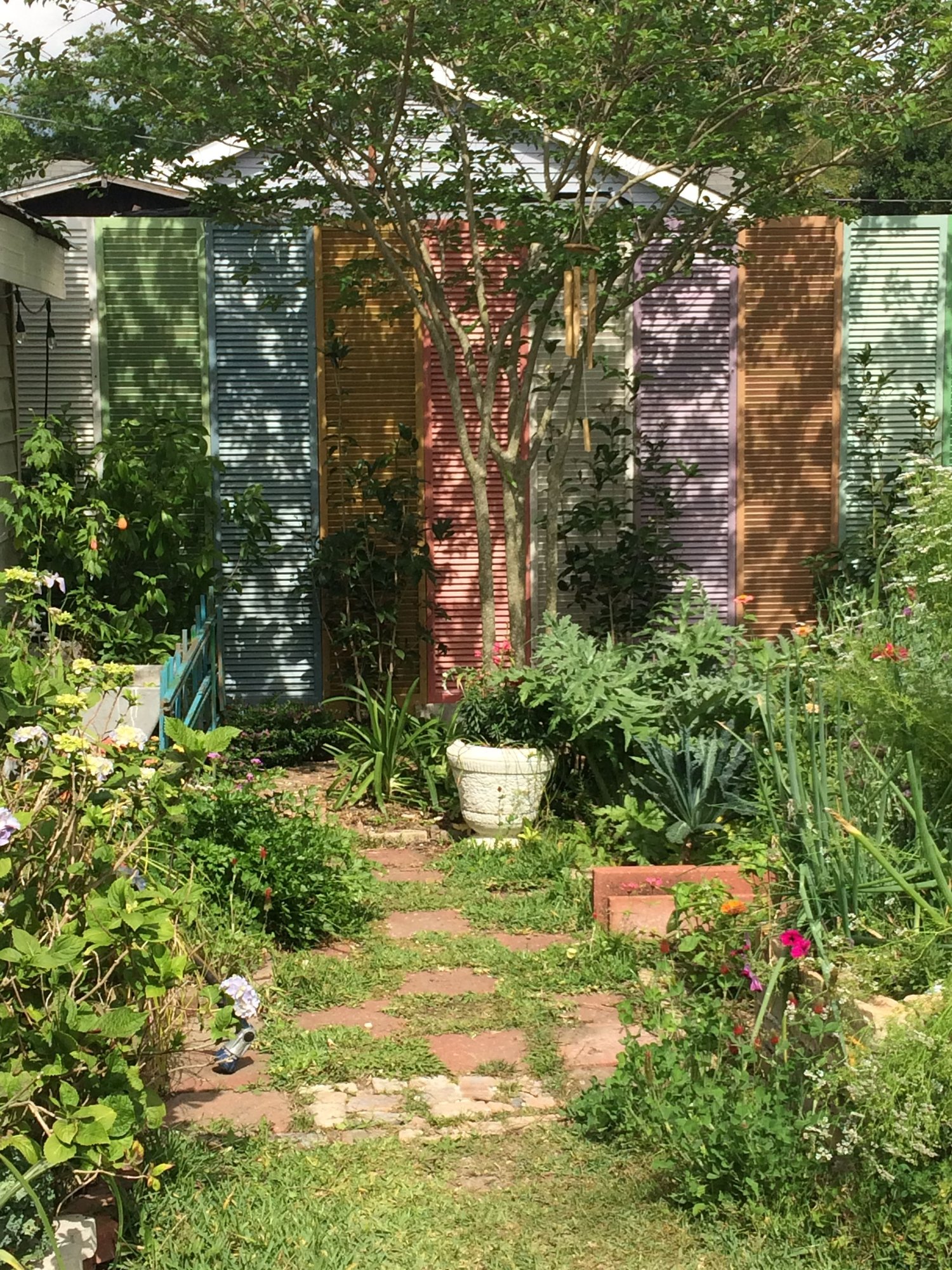 Checkerboard Garden. Back fenc photo by khfawkes on Garden Showcase