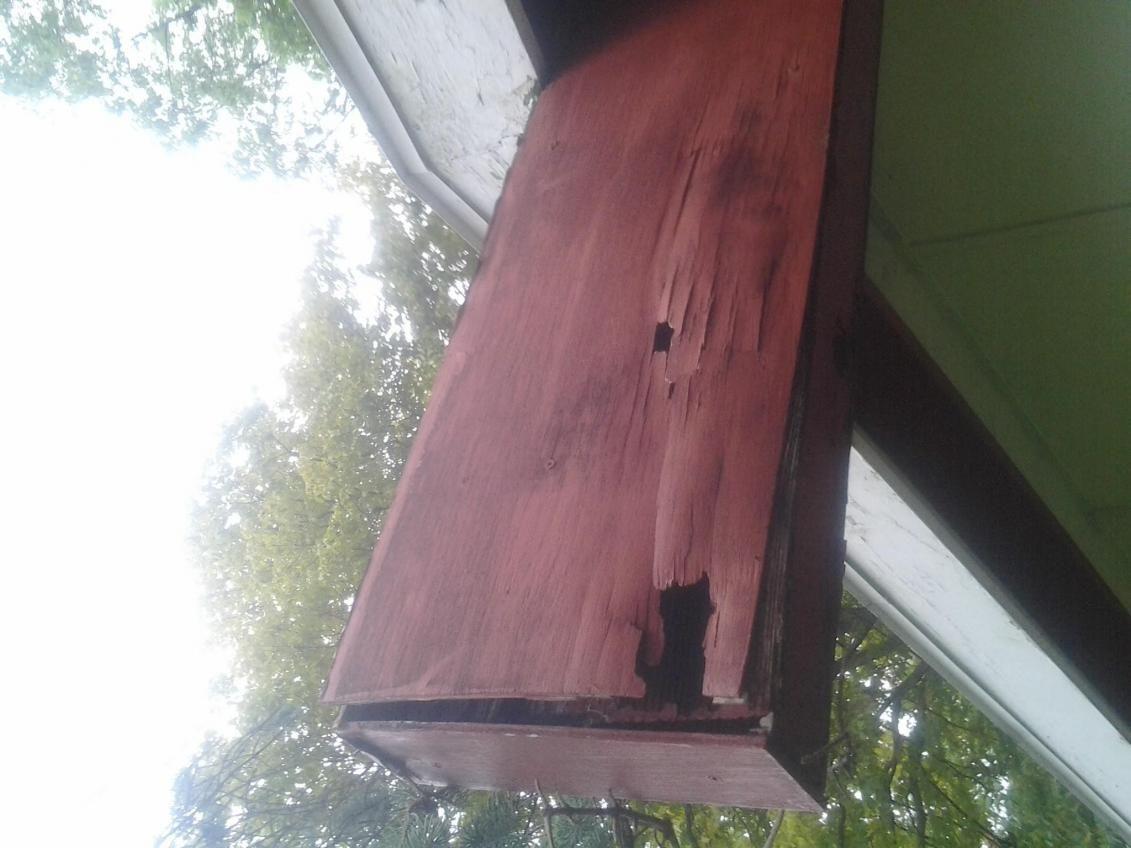 Exposed Rafter Rot - DoItYourself.com Community Forums